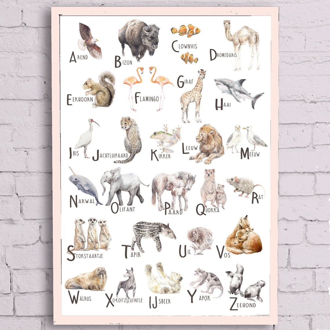 Dutch Language ABC Animal Alphabet - Etsy