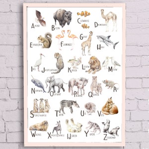Dutch Language ABC Animal Alphabet - Etsy