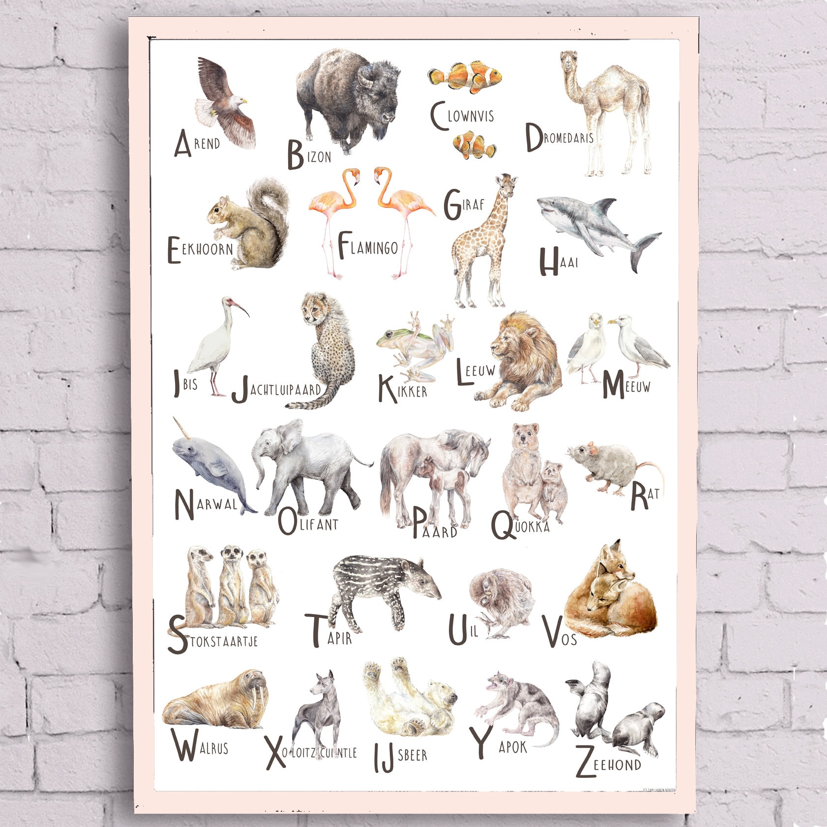 Dutch Language ABC Animal Alphabet | Etsy