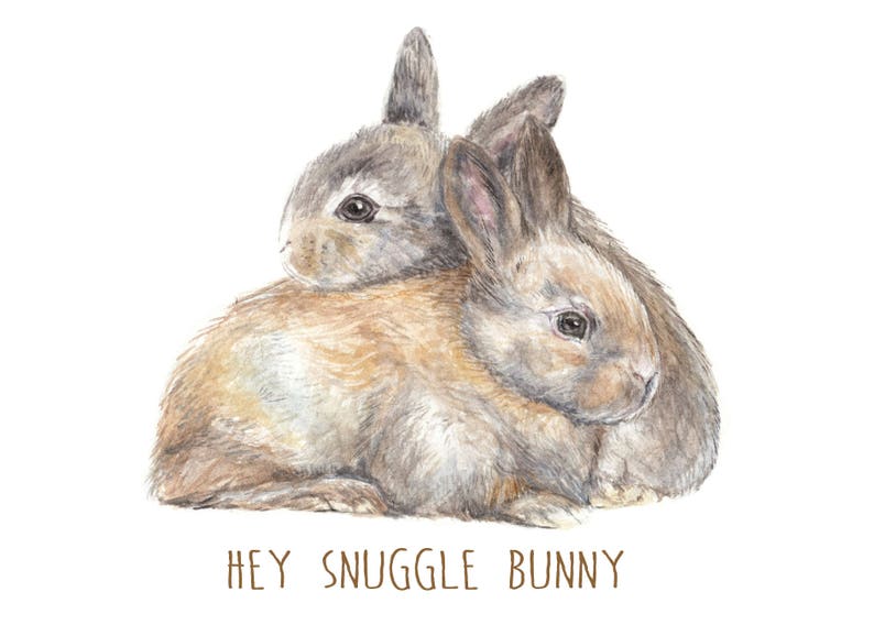 Hey Snuggle Bunny Greeting Card Cute Love Couples - Etsy