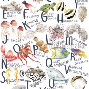 Under the Sea A to Z: ABC Fish Alphabet Poster - Original Watercolors ...