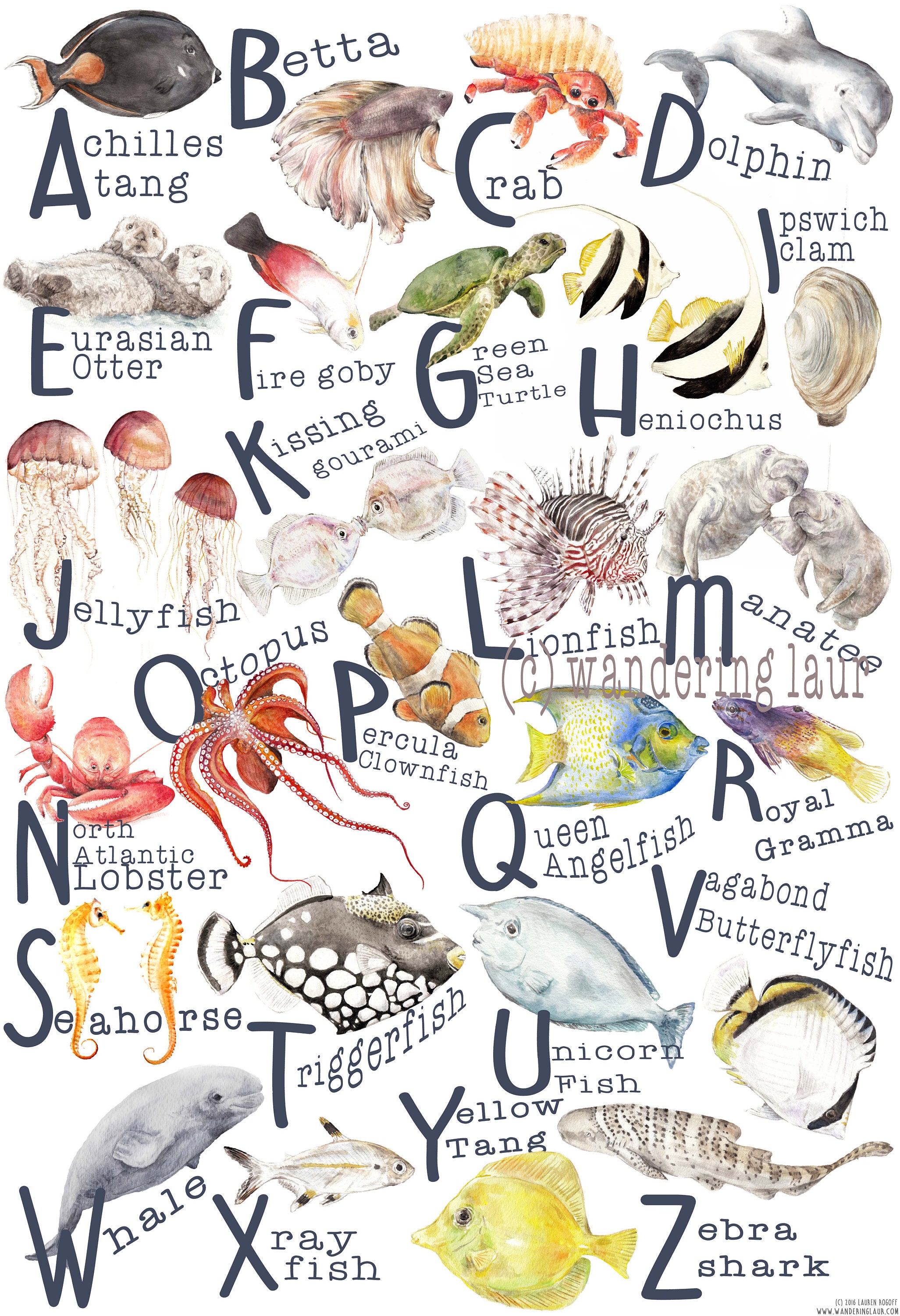 Under the Sea A to Z: ABC Fish Alphabet Poster - Original Watercolors ...