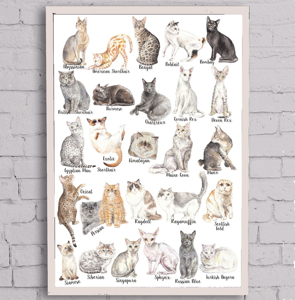 ABC Cats Alphabet Poster - Original Watercolors - Etsy
