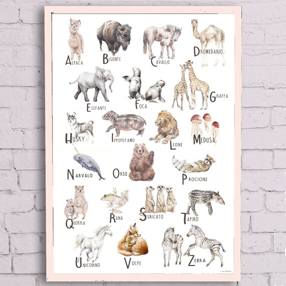 Italian Language ABC Animal Alphabet | Etsy