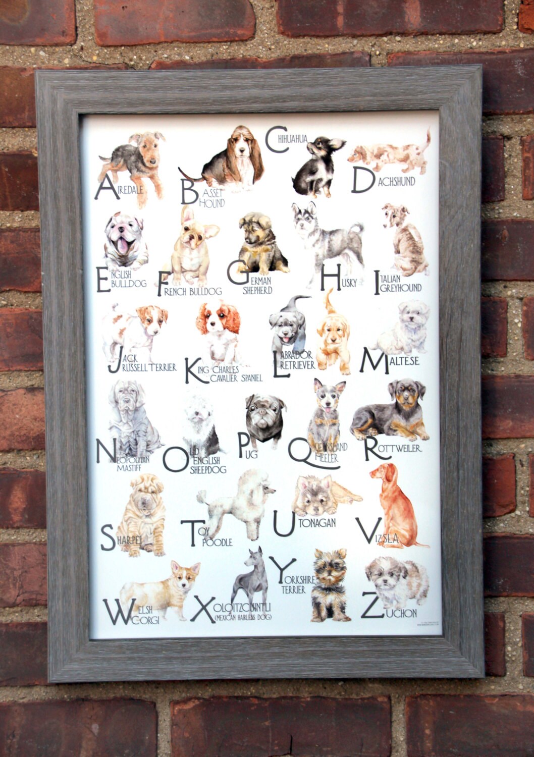 ABC Dog Breeds Alphabet Poster Original Watercolors | Etsy