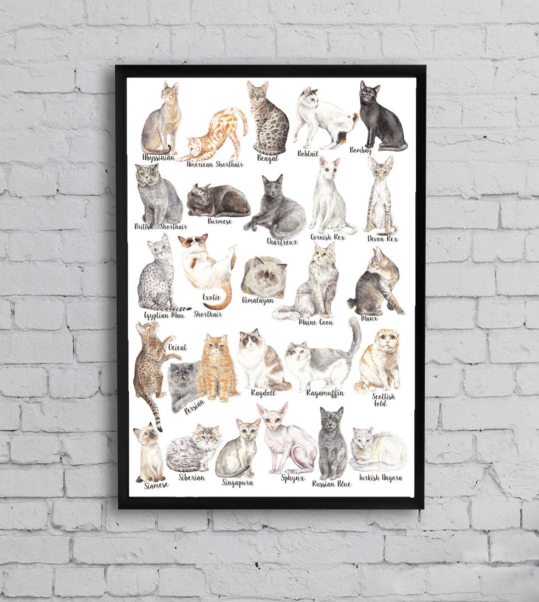 ABC Cats Alphabet Poster - Original Watercolors - Etsy