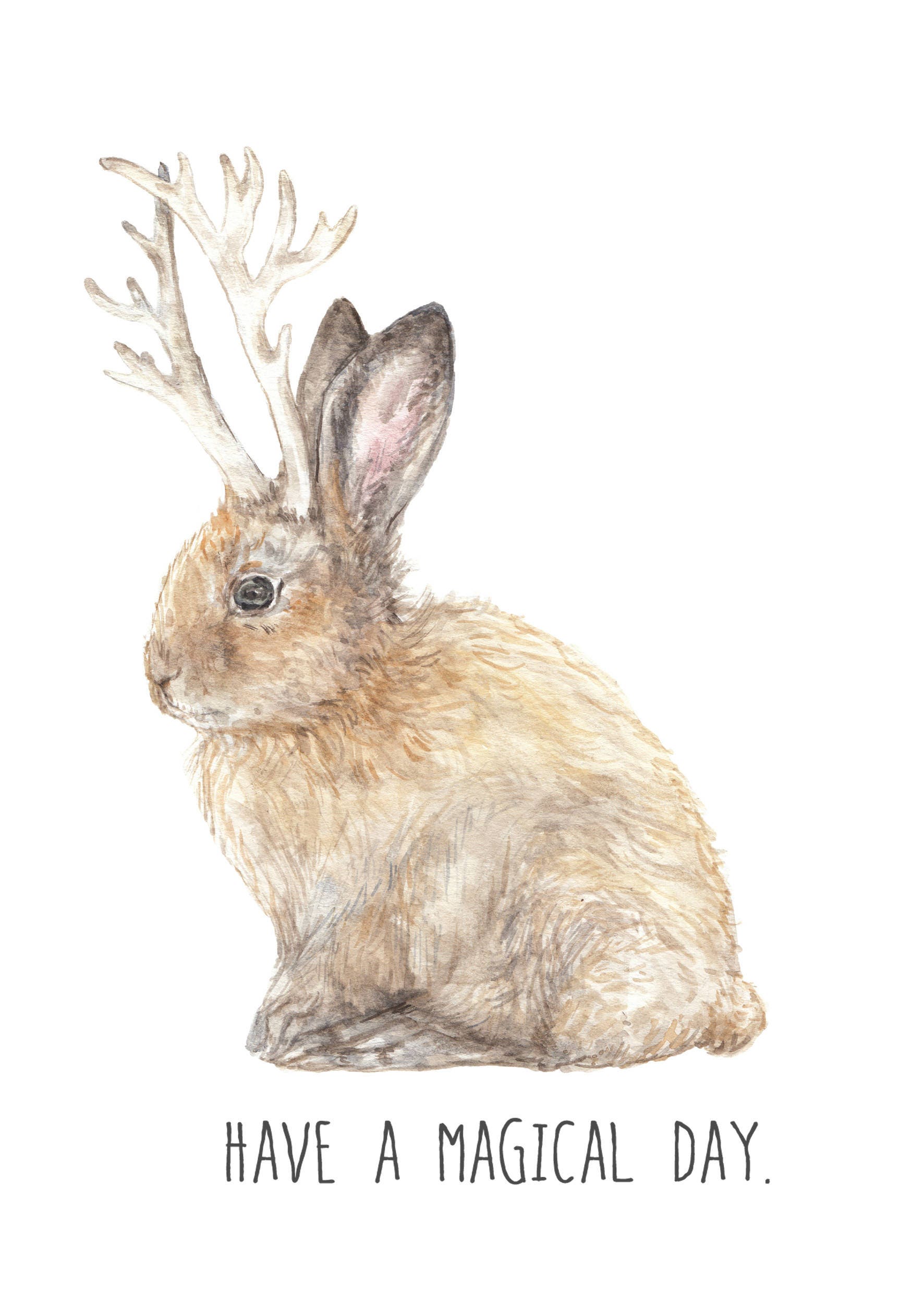 Jackalope Antler Magical Day Greeting Card Funny, Quirky Birthday All ...