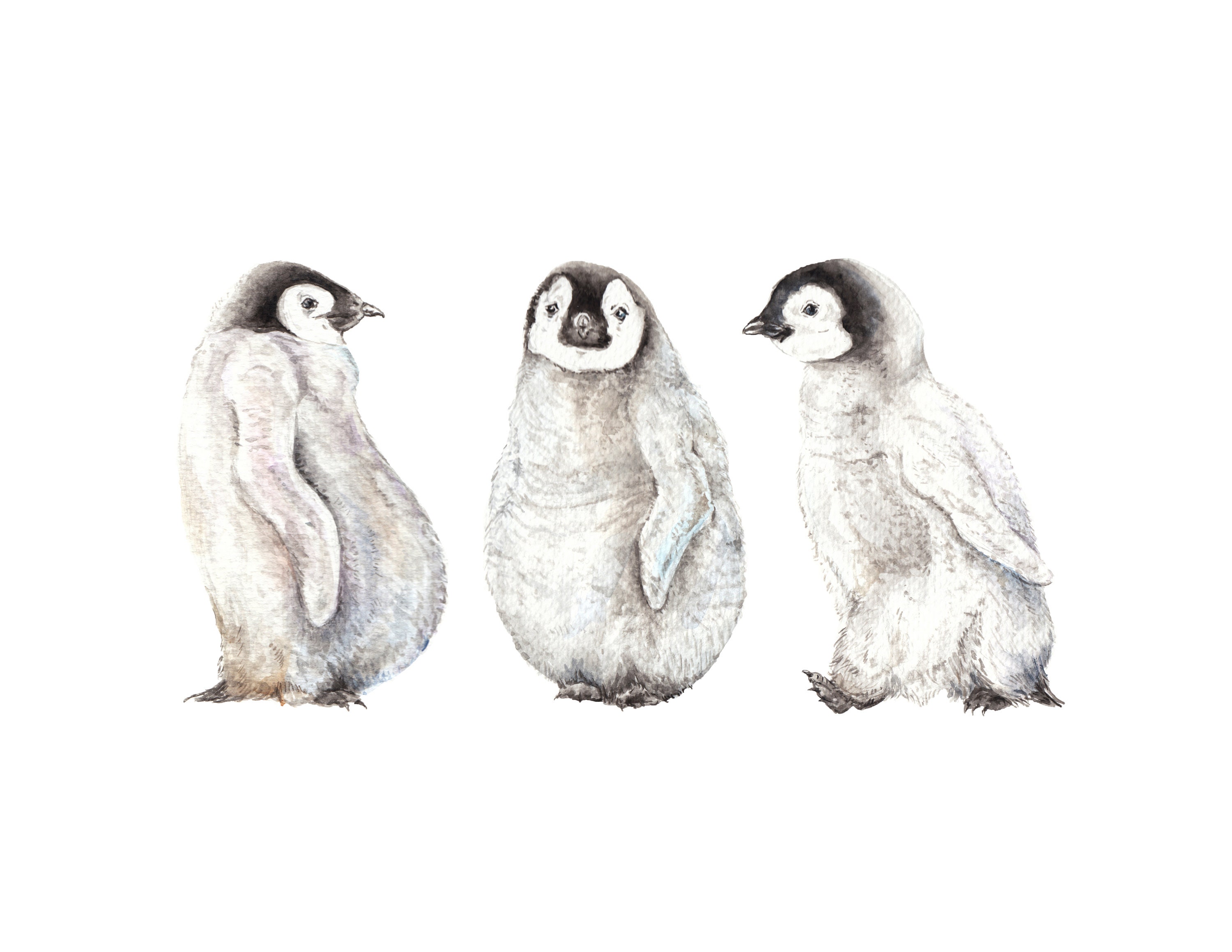 Penguins Limited Edition Print 8.5x11 Watercolor Bird Baby Painting ...