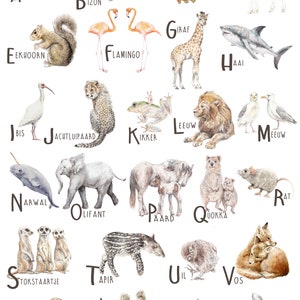 Dutch Language ABC Animal Alphabet - Etsy