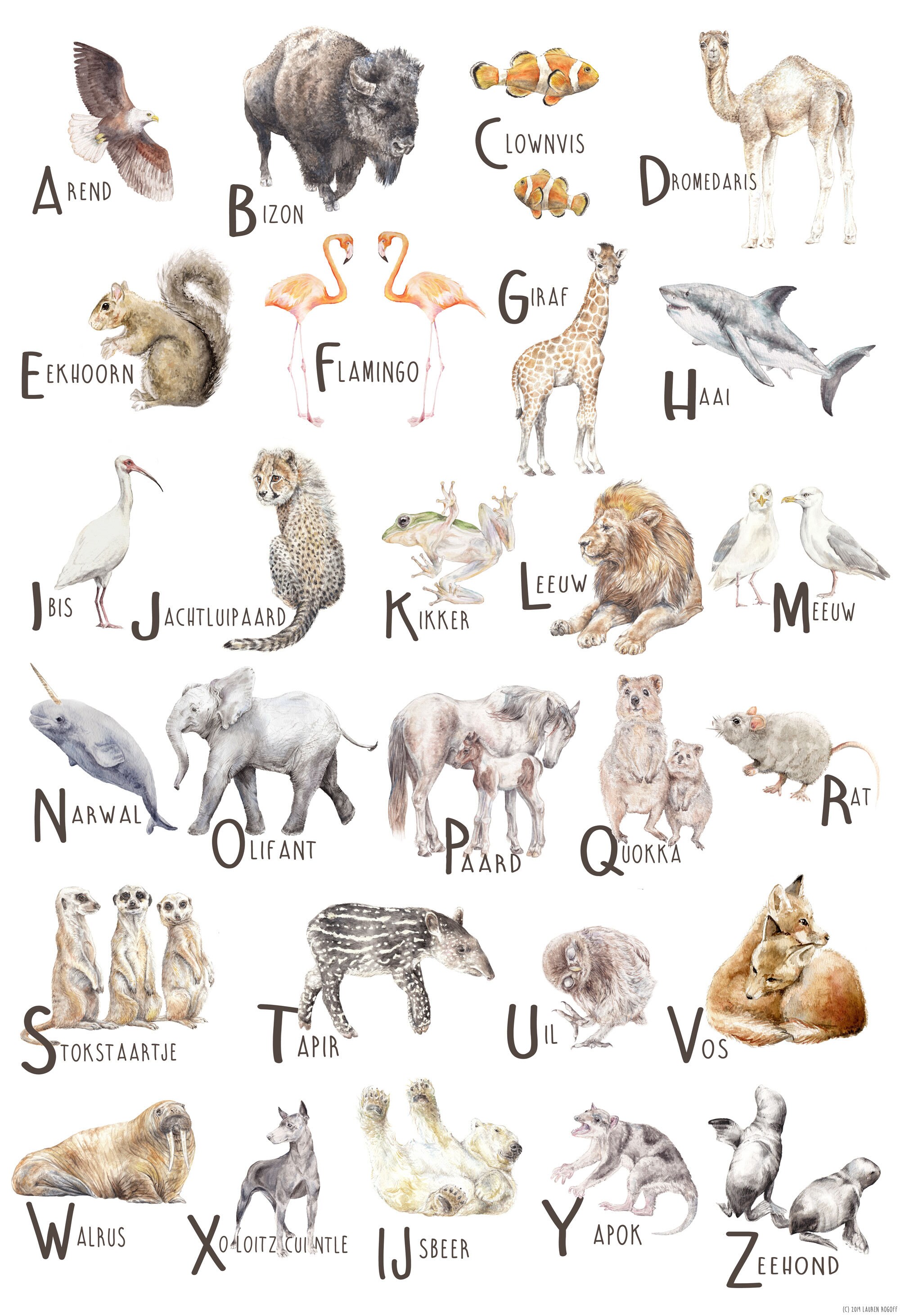 Dutch Language ABC Animal Alphabet | Etsy