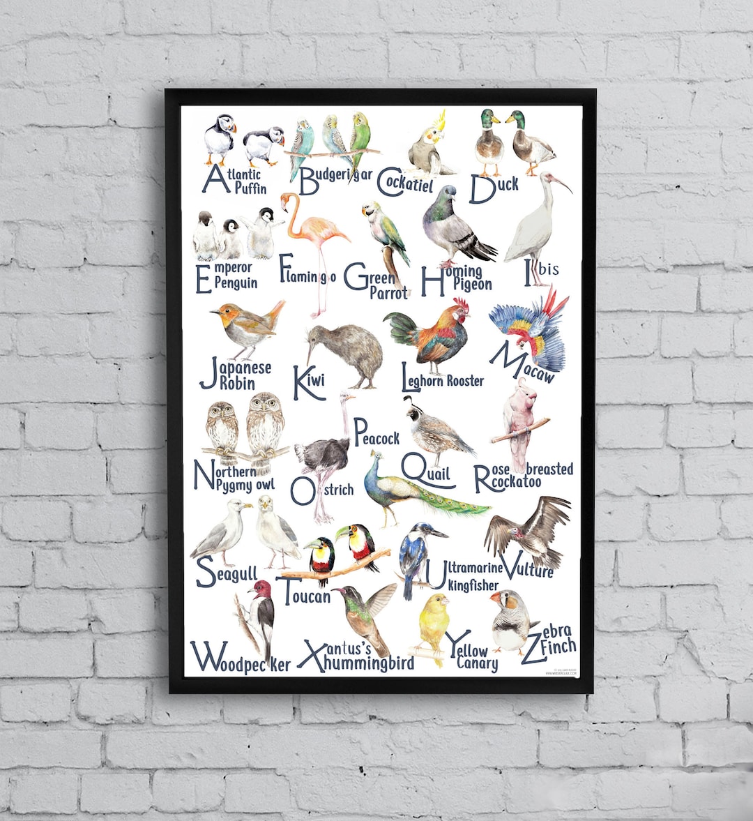 Birds ABC Alphabet Poster - Original Watercolor Paintings - Etsy