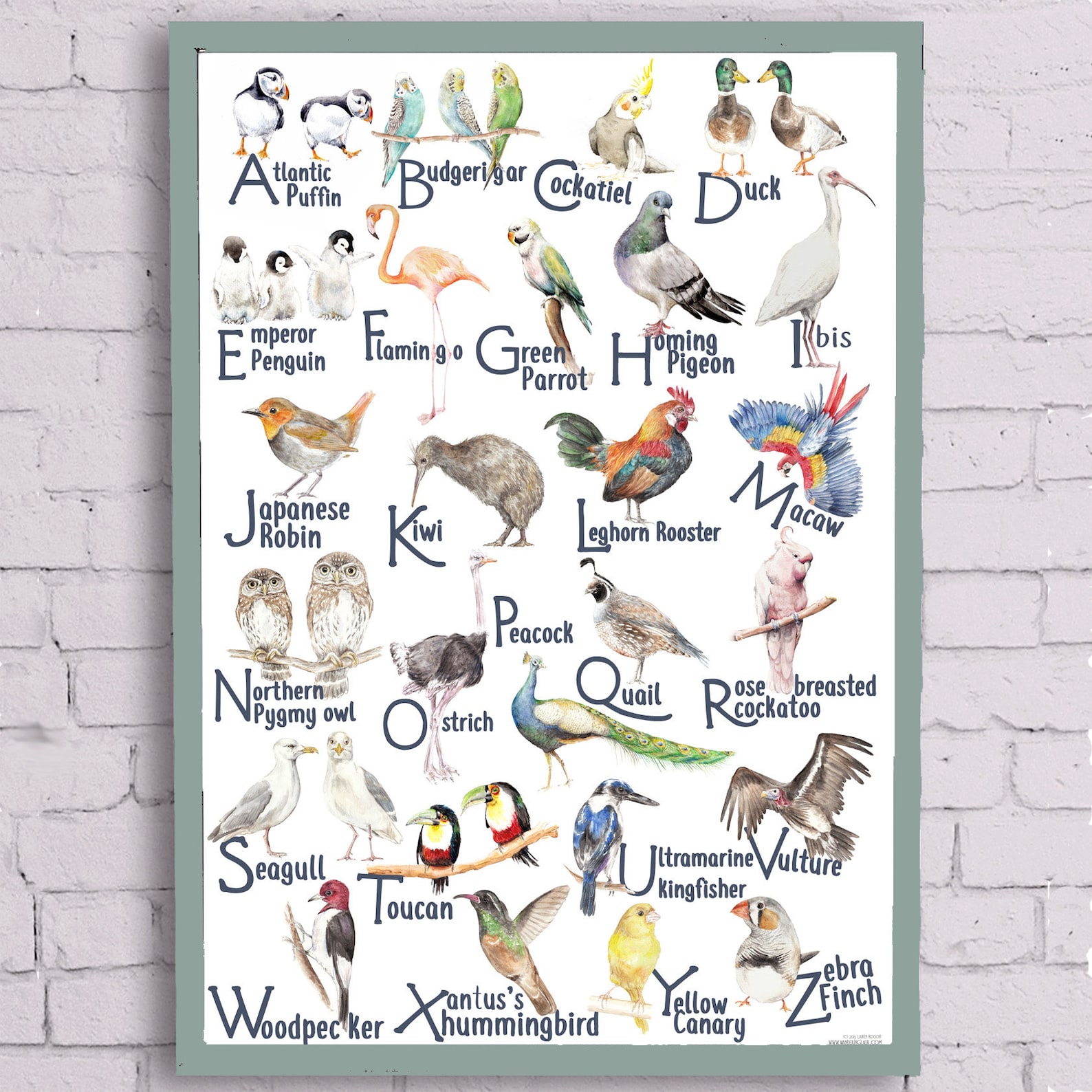ABC Animal Alphabet Posters 18 X 24 Choose From Six - Etsy