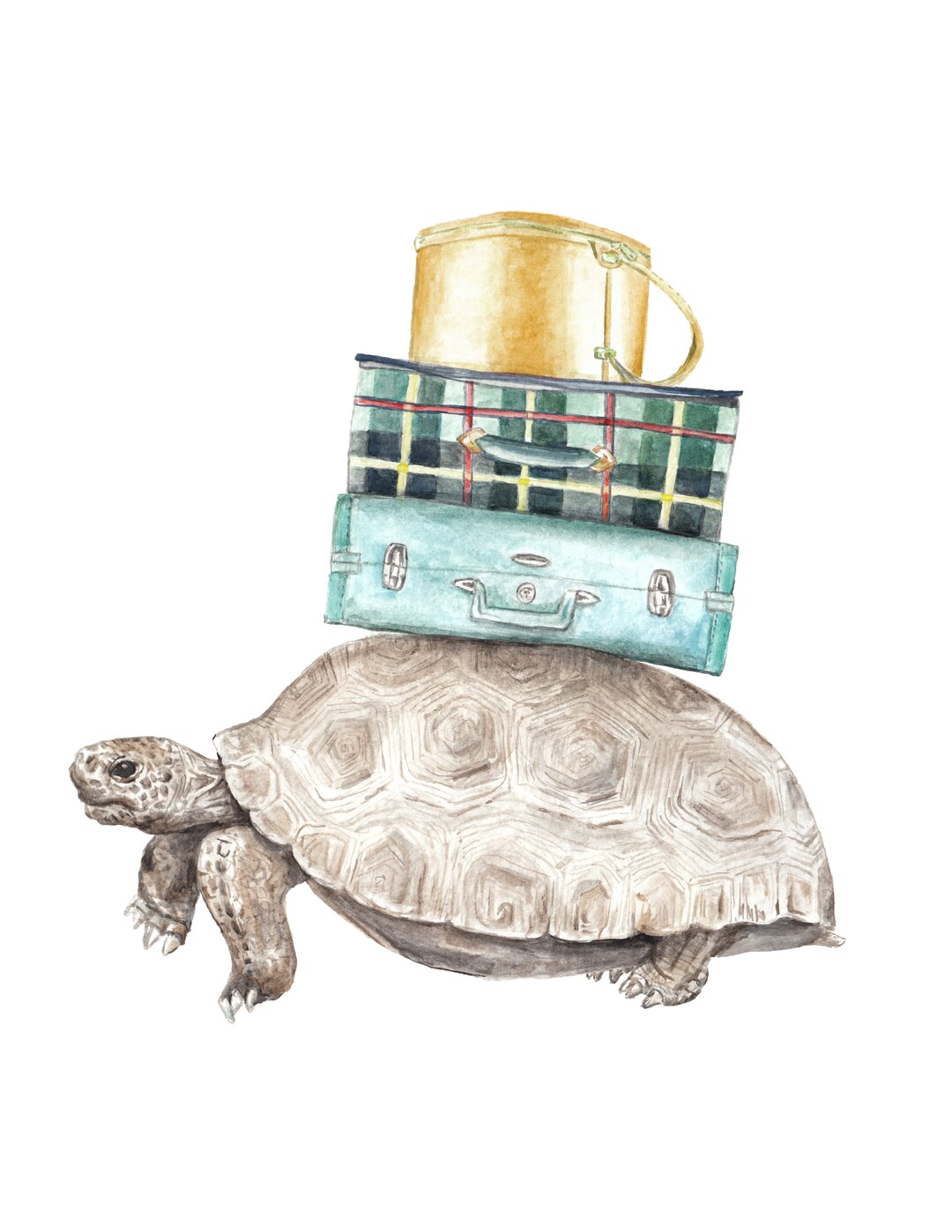 Traveling Turtle Tortoise Taking Home With You Limited Edition Print 8 ...