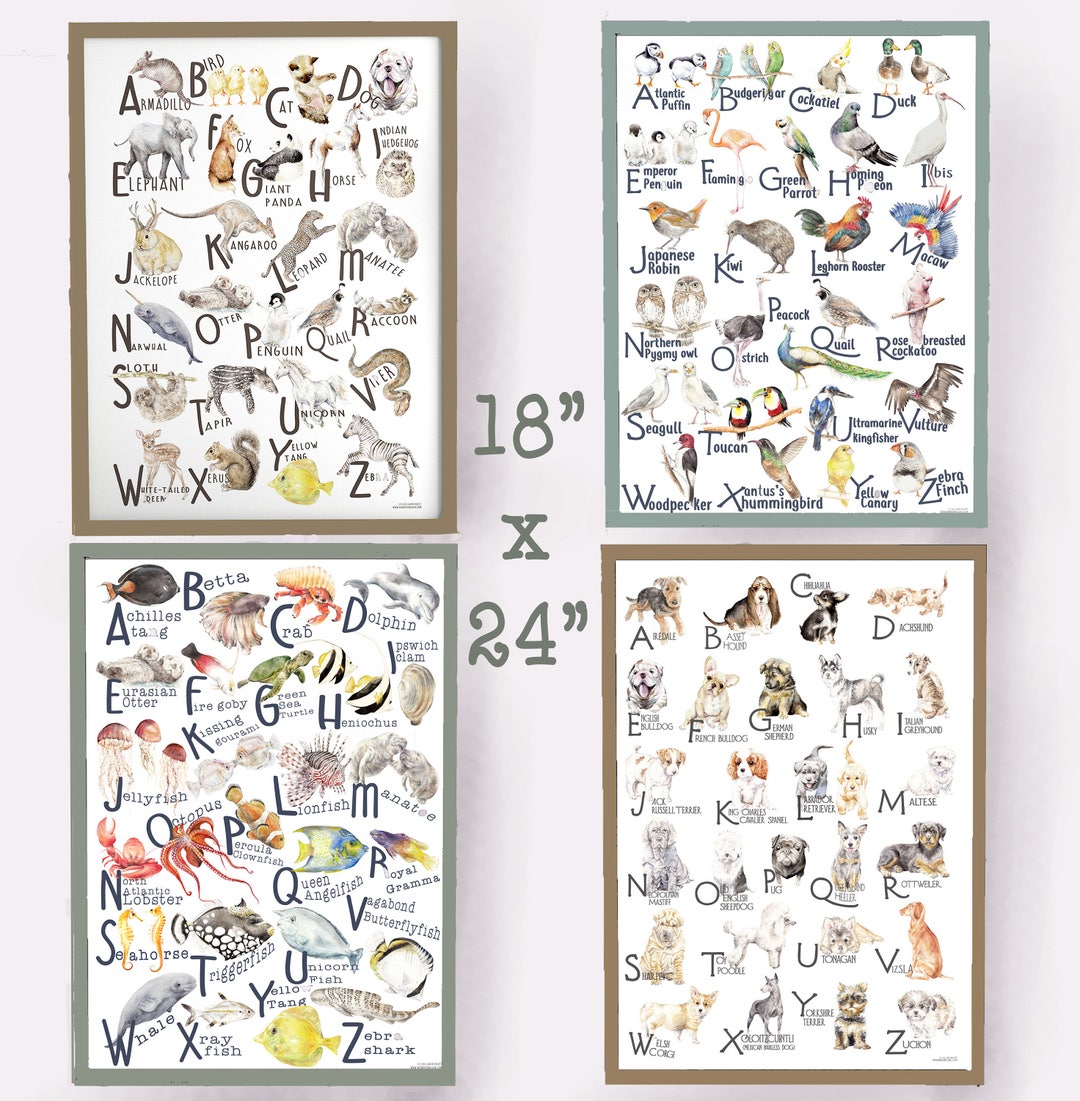 ABC Animal Alphabet Posters 18 X 24 - Choose From Six - Original ...
