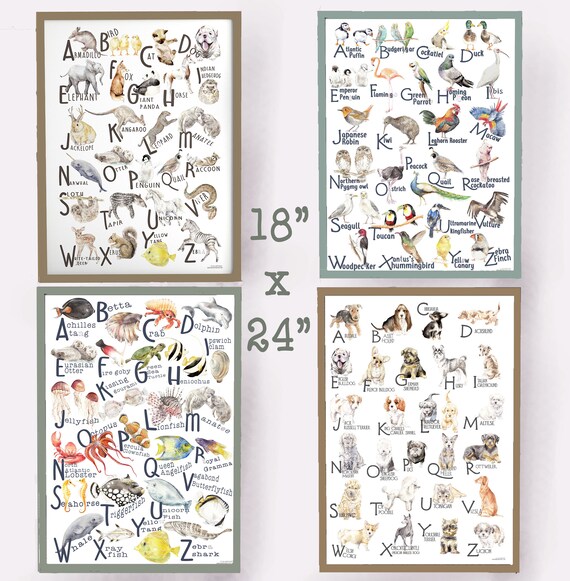 ABC Animal Alphabet Posters 18 X 24 Choose From Six - Etsy