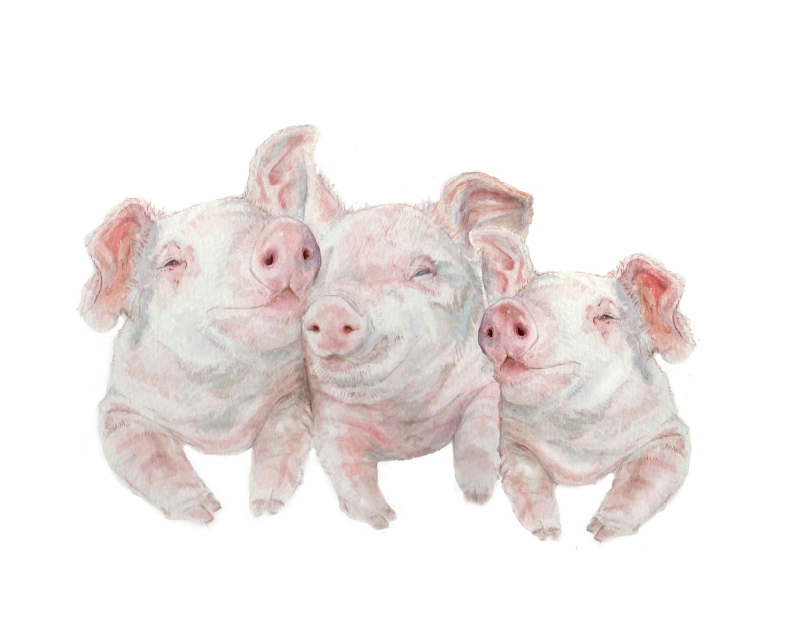 Three Little Pigs Limited Edition Print 8.5x11 Watercolor OR | Etsy