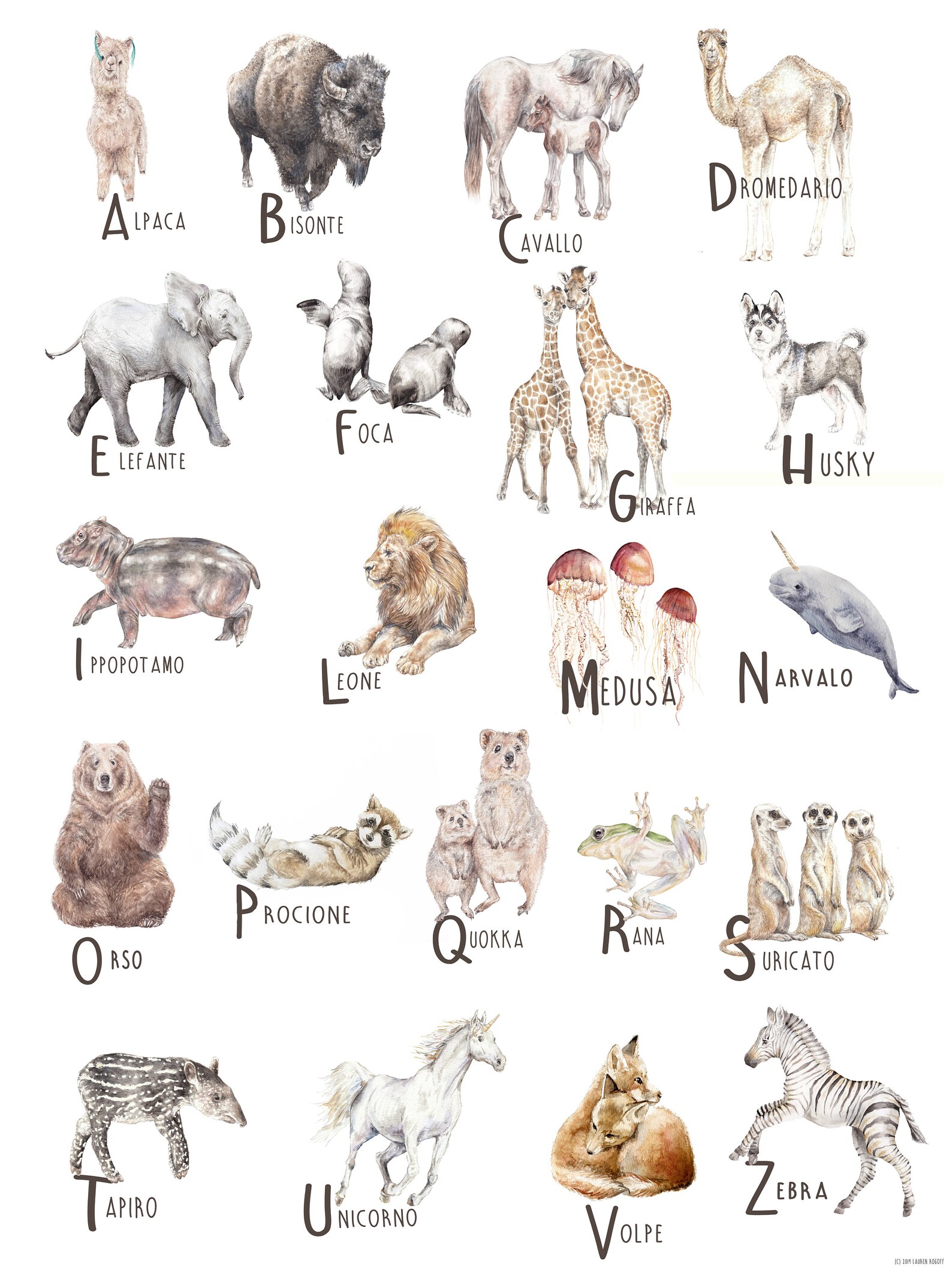 Italian Language ABC Animal Alphabet | Etsy