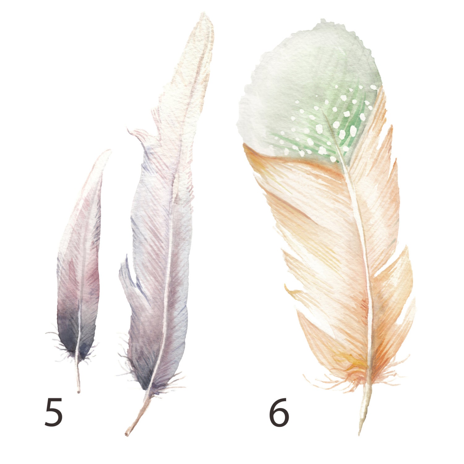 8.5 X 11 Single Watercolor Feather Print: You Choose From 9 - Etsy