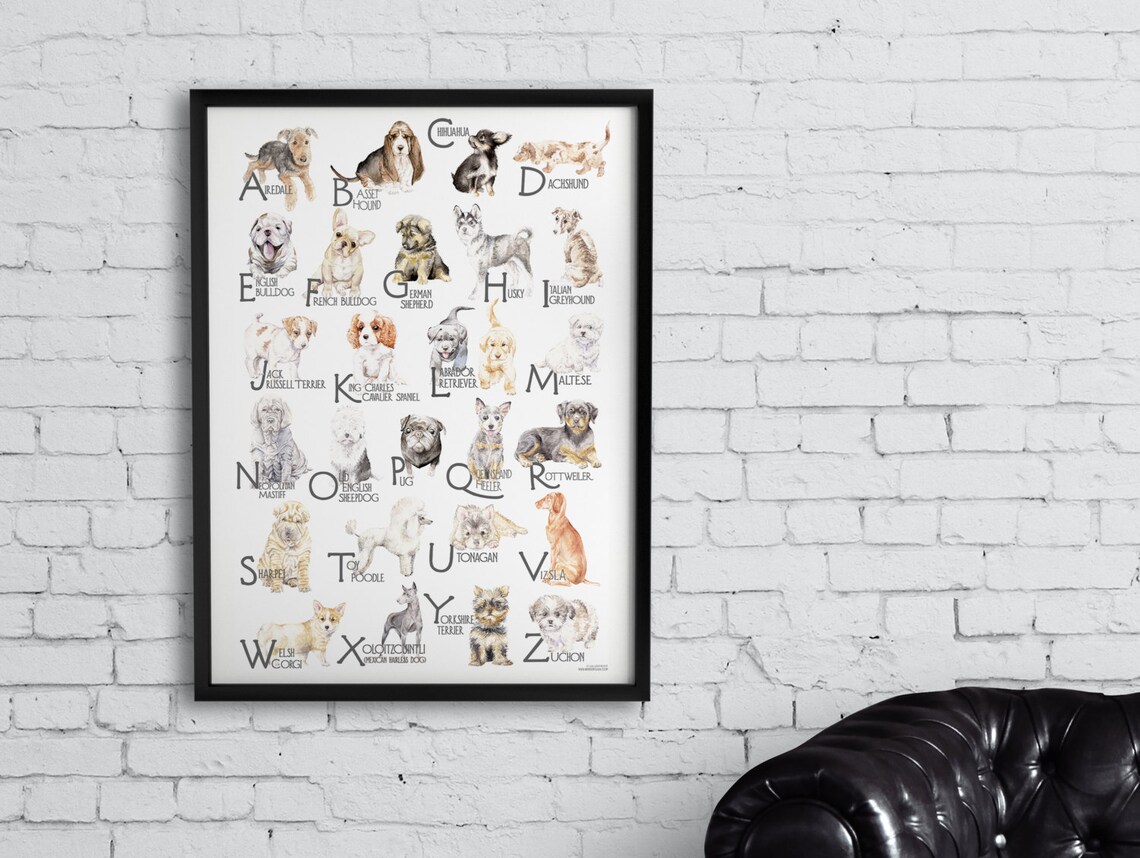 ABC Dog Breeds Alphabet Poster Original Watercolors - Etsy