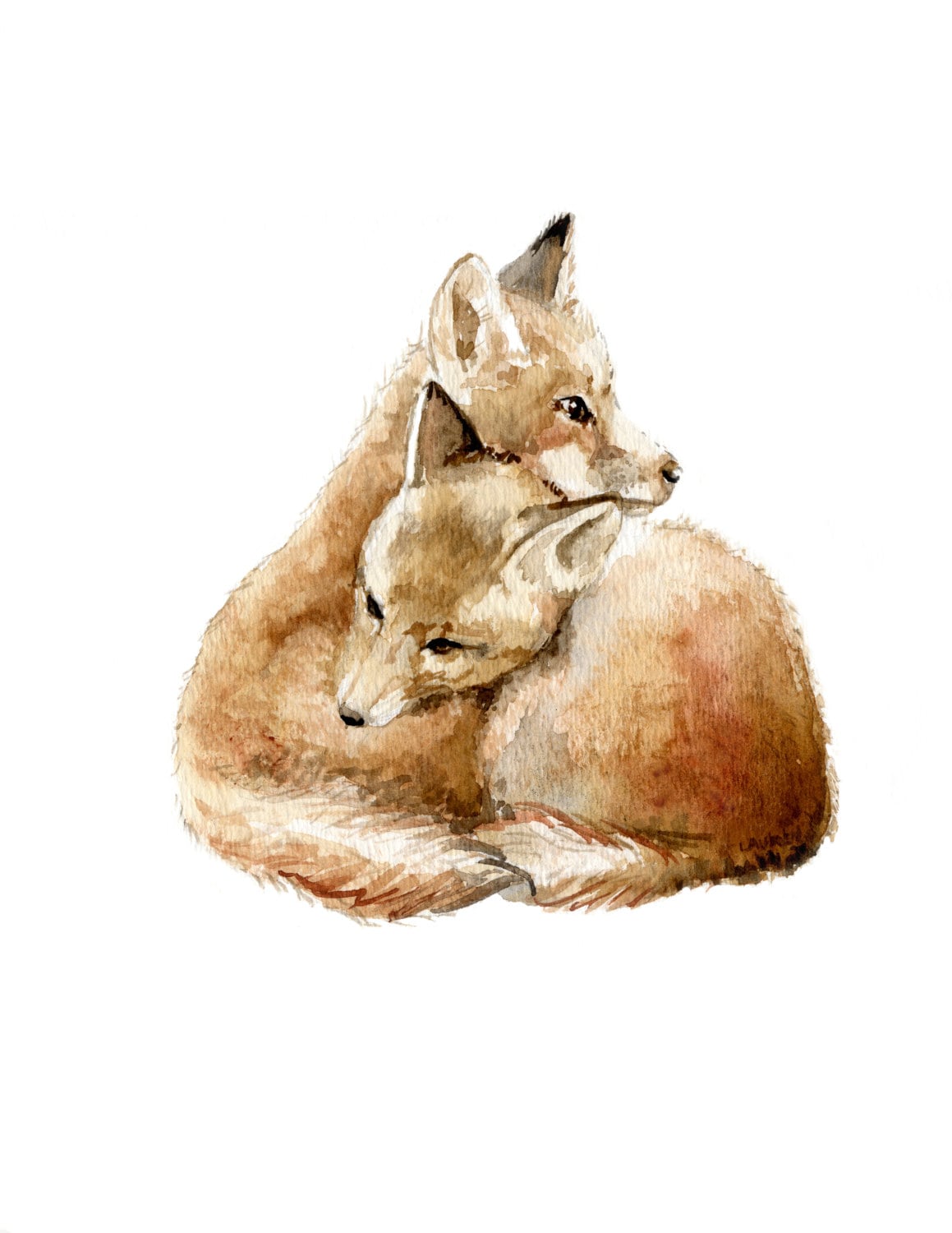 Fox Cubs Cuddling Limited Edition Print 8.5x11 Watercolor - Etsy
