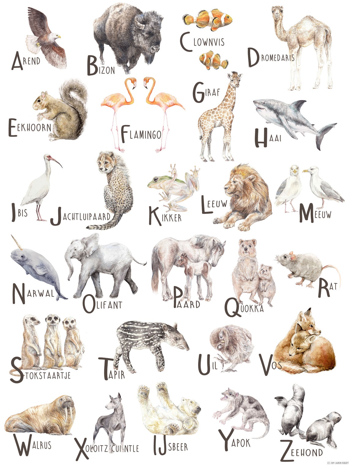 Dutch Language ABC Animal Alphabet - Etsy