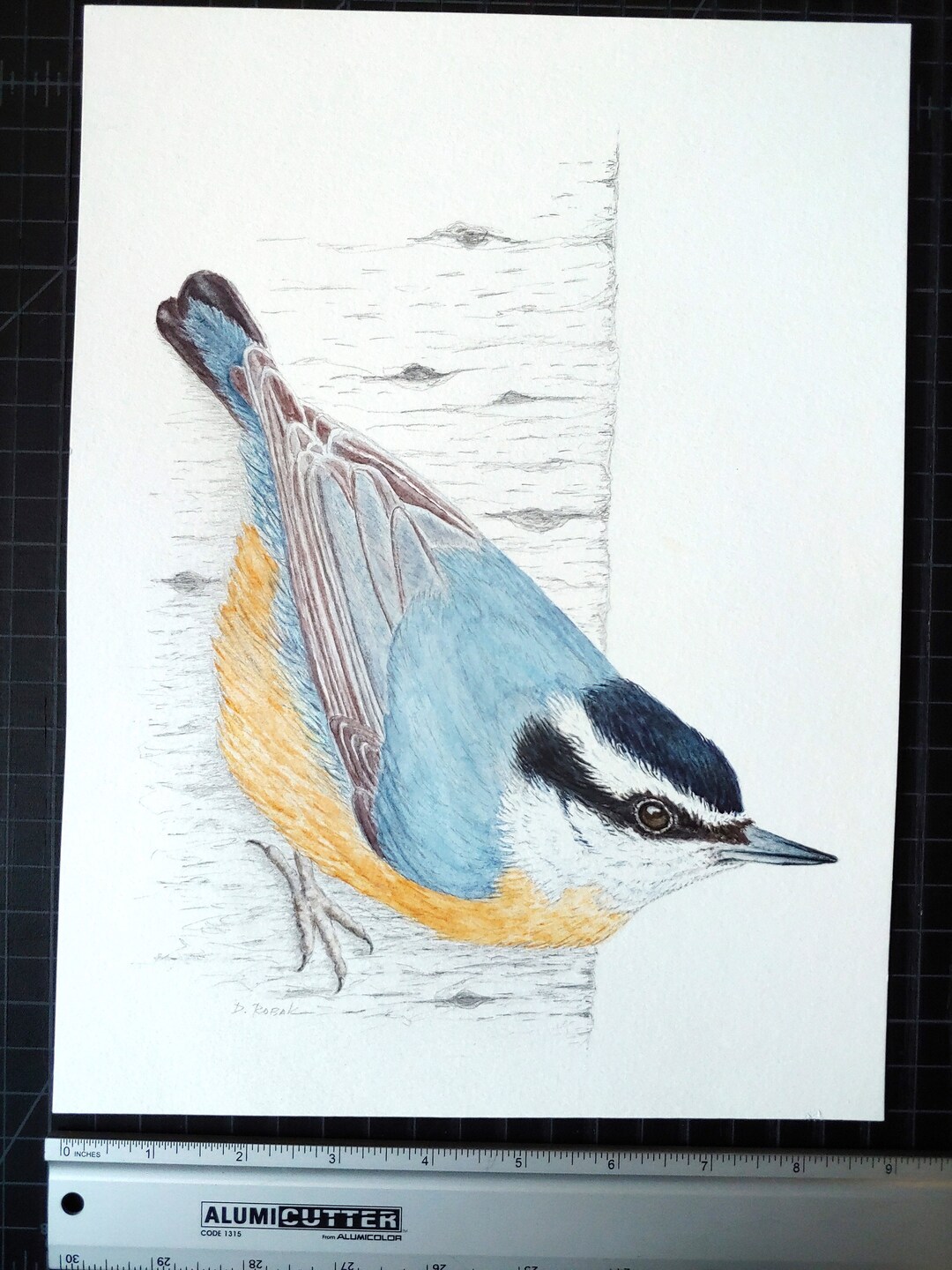 Original Nuthatch Watercolor Painting: Bird on Birch Tree Art - Etsy