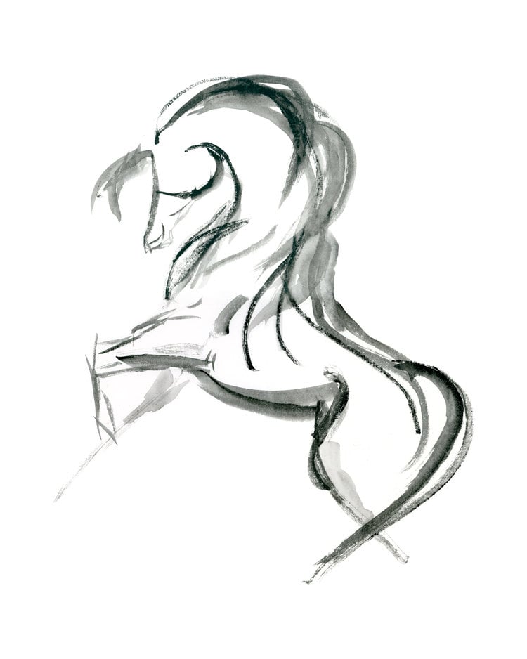 Abstract Horse Drawings