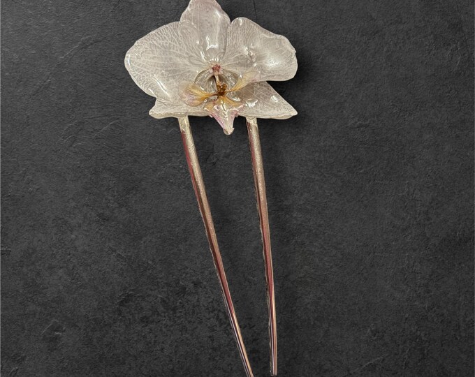 Real White Orchid French Pin - Etsy