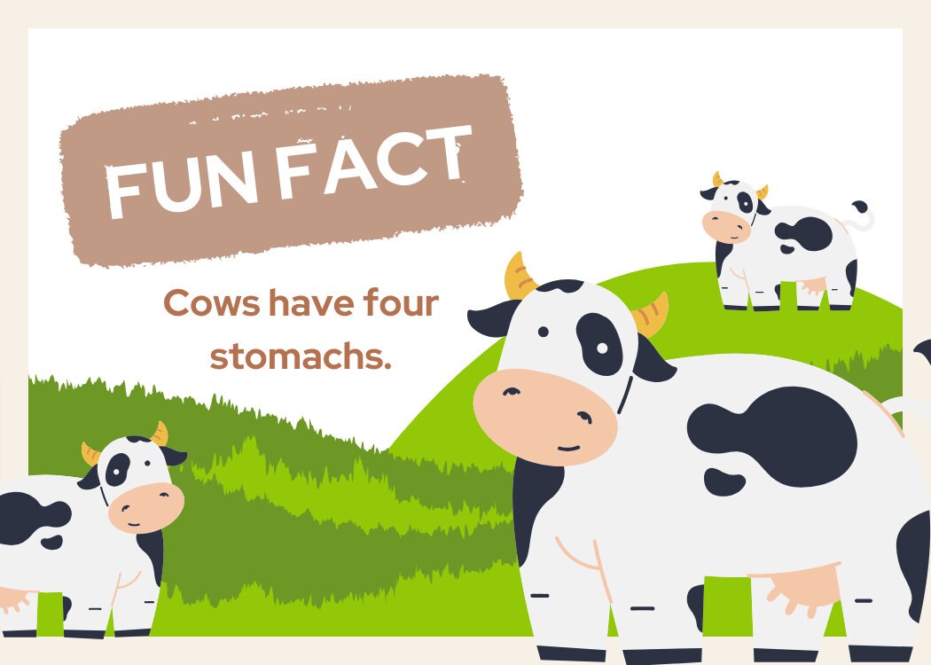 50 Animal Themed Lunch Box Facts INSTANT DOWNLOAD - Etsy