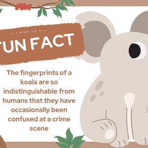 50 Animal Themed Lunch Box Facts | INSTANT DOWNLOAD | Homeschool ...