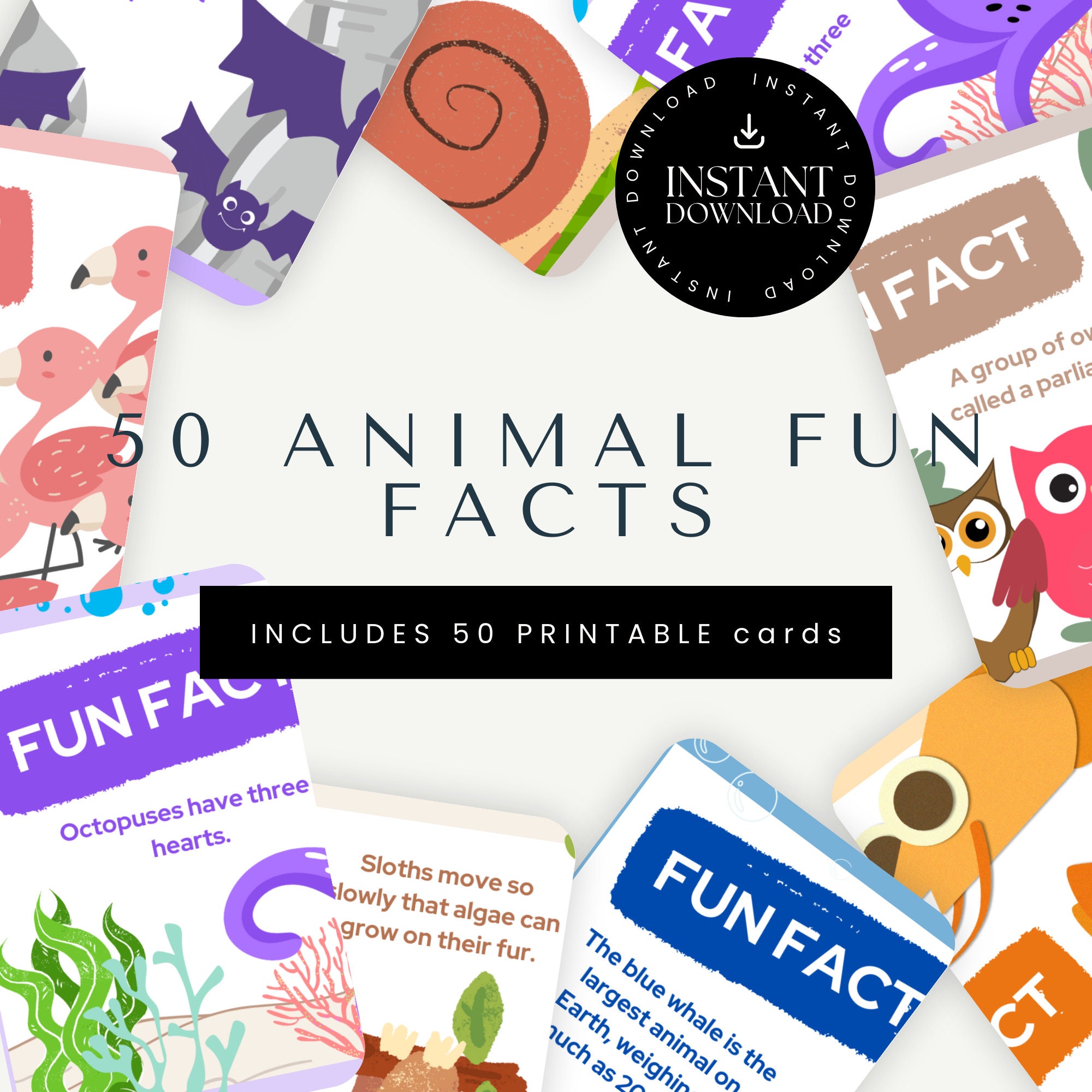 50 Animal Themed Lunch Box Facts INSTANT DOWNLOAD - Etsy