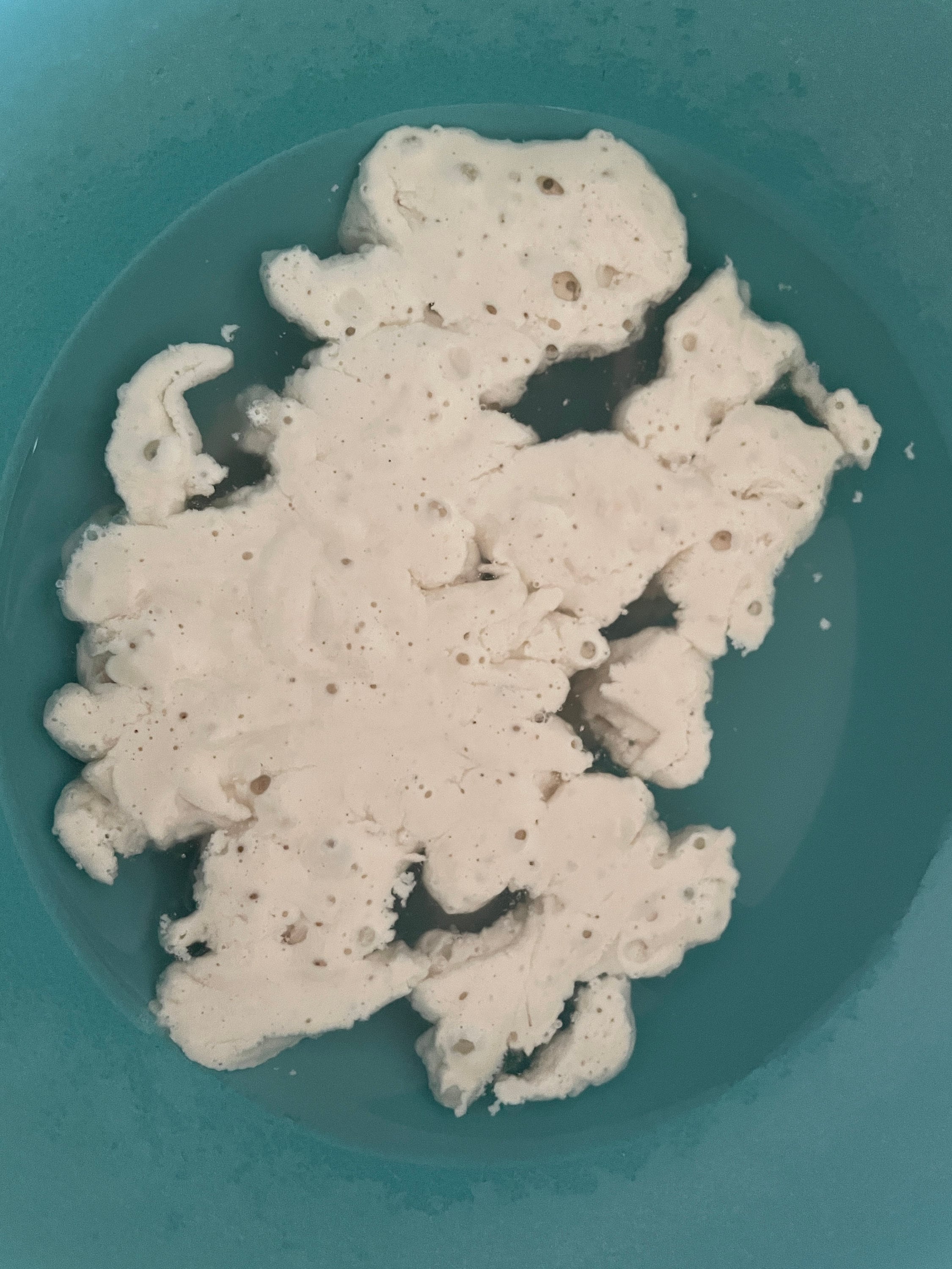 Sourdough Starter - SUPER Active! - Biodynamic, Dry Starter With ...