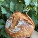 Sourdough Starter SUPER Active Biodynamic, Dry Starter With ...