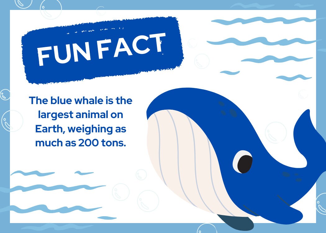 50 Animal Themed Lunch Box Facts INSTANT DOWNLOAD - Etsy