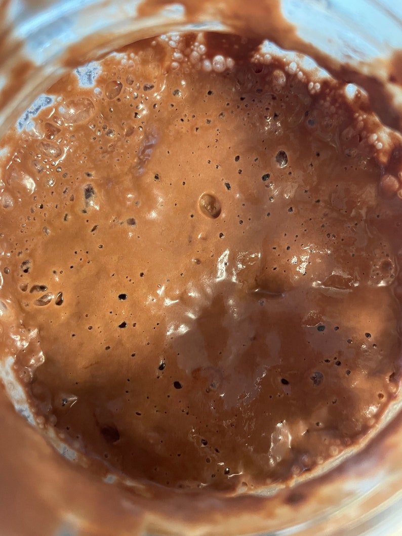 Chocolate Sourdough Starter - SUPER Active! - Organic, Dry Starter With ...