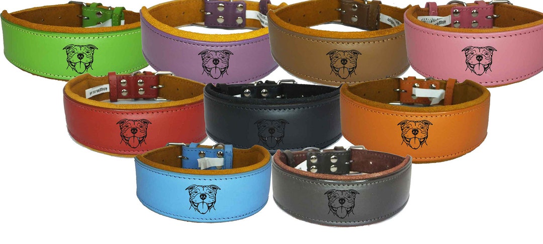 Leather Padded Collar Staffordshire Bull Terrier Dog Collar Padded Dog ...