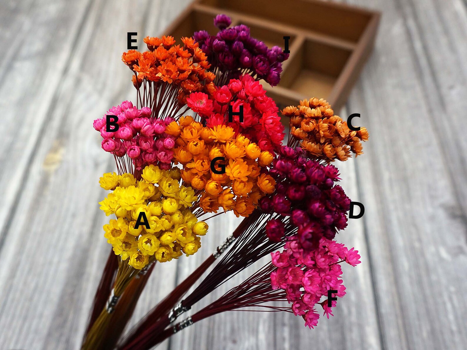 50 Pcs Baby's Breath Multi-color A Small Pack of Dried - Etsy