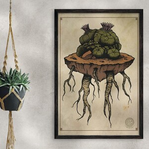 Cactus Plant Botanical Art Lophophora Williamsii Psychedelic ...