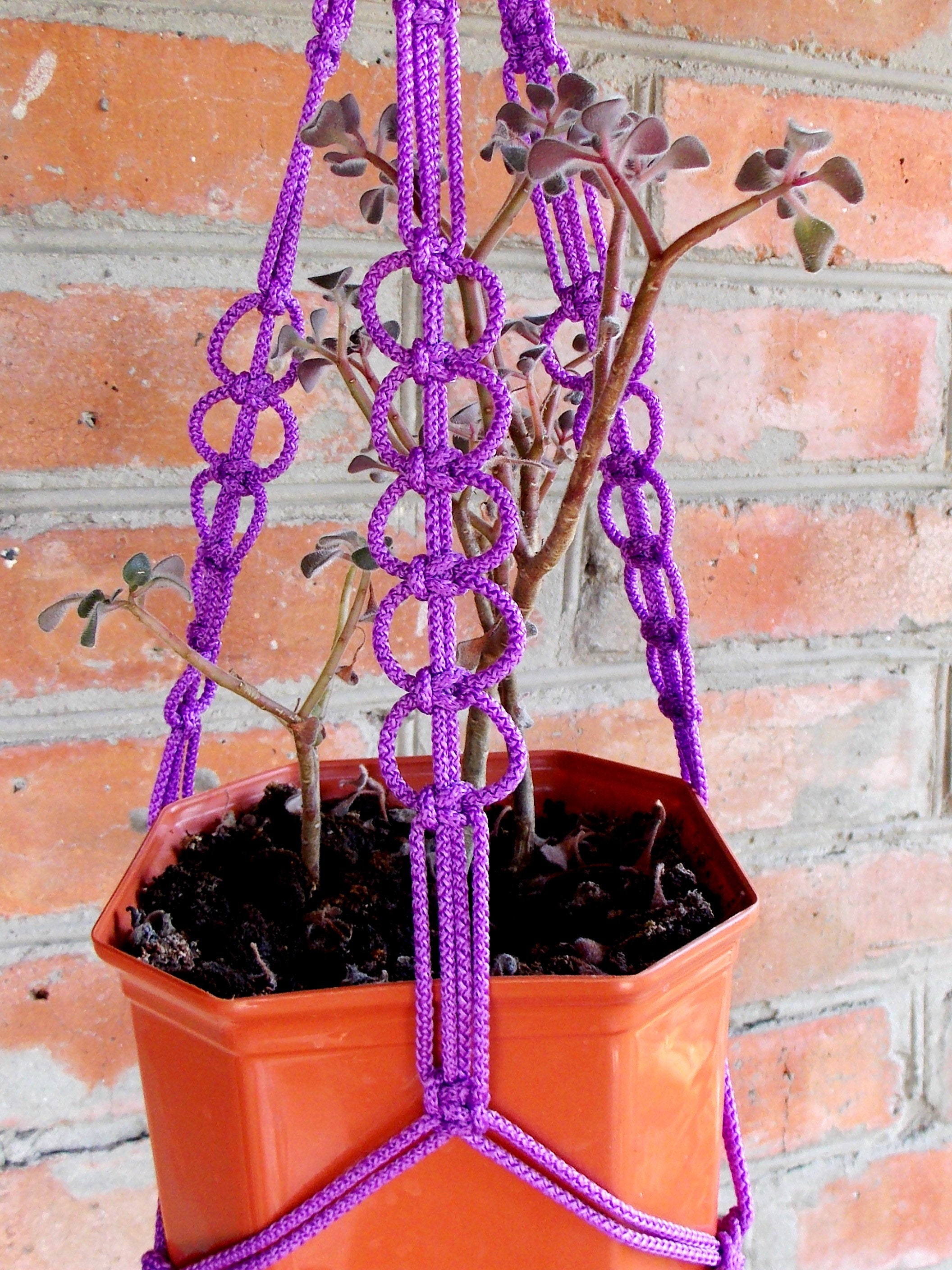 Purple Macrame Plant Hanger 20 Inches 3 Mm Macrame Plant Holder Mini ...