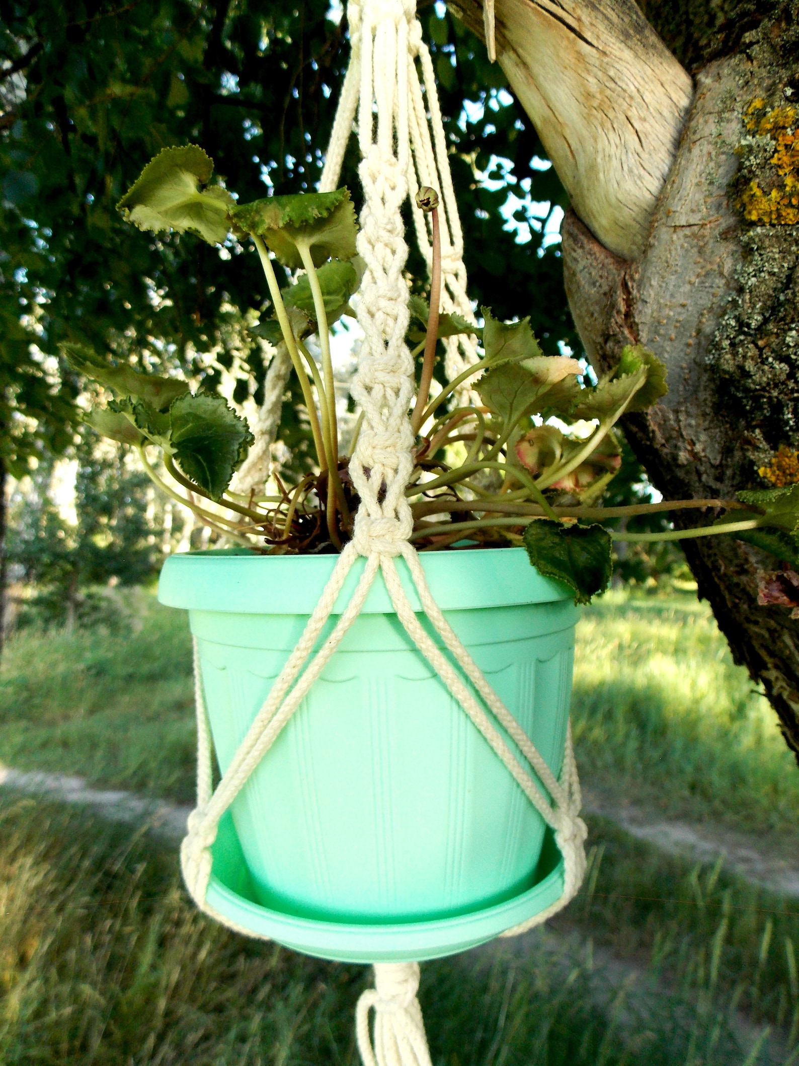 Small Hanging Planter Bohemian Home Flower Pot Holder Mini Macrame ...
