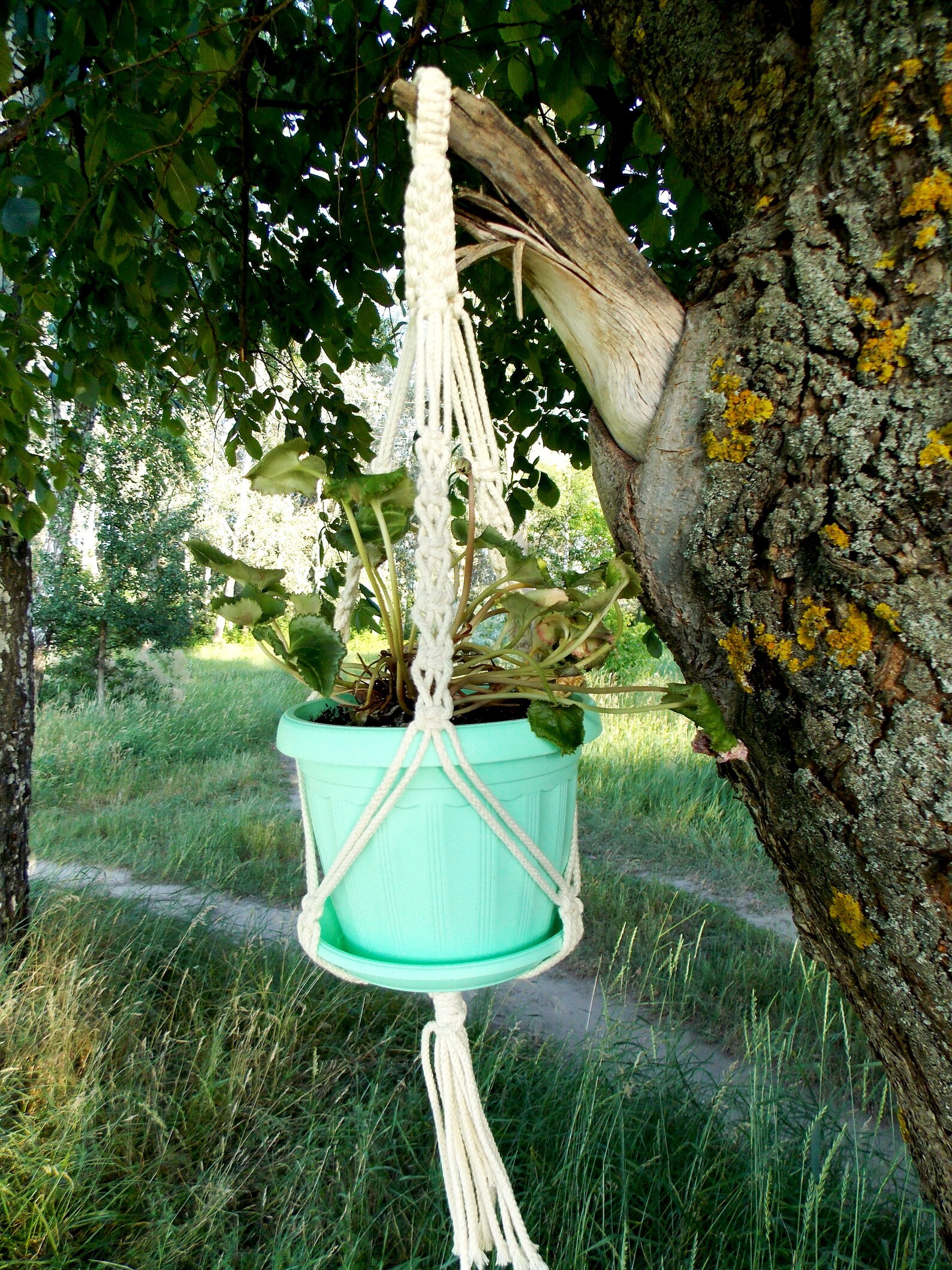 Small Hanging Planter Bohemian Home Flower Pot Holder Mini Macrame ...