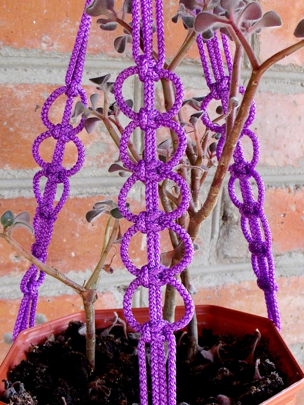 Purple Macrame Plant Hanger 20 Inches 3 Mm Macrame Plant - Etsy