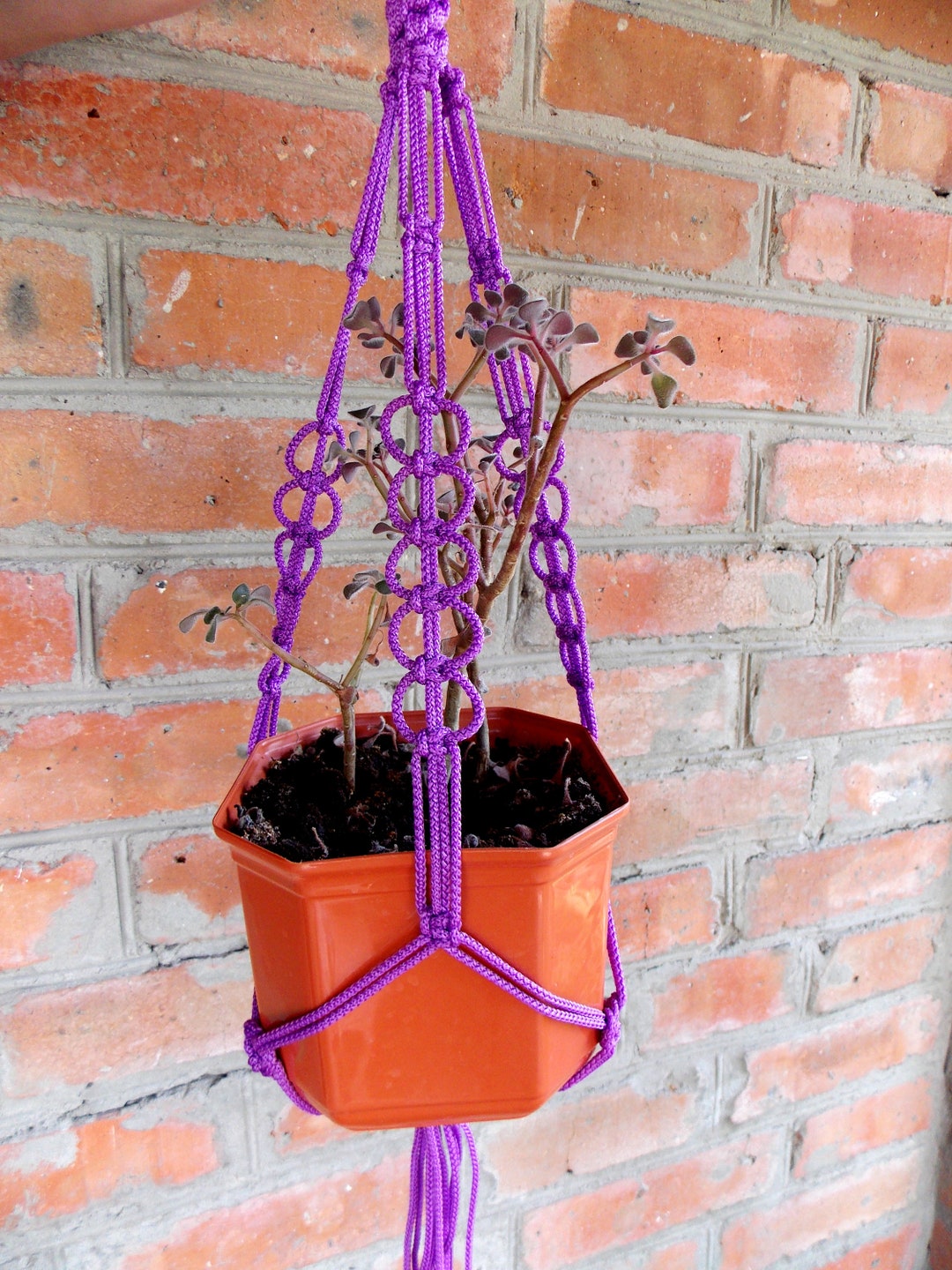 Purple Macrame Plant Hanger 20 Inches 3 Mm Macrame Plant Holder Mini ...