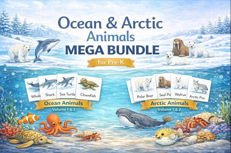 Ocean & Arctic Animal Flash Cards for Pre-k MEGA BUNDLE - Etsy