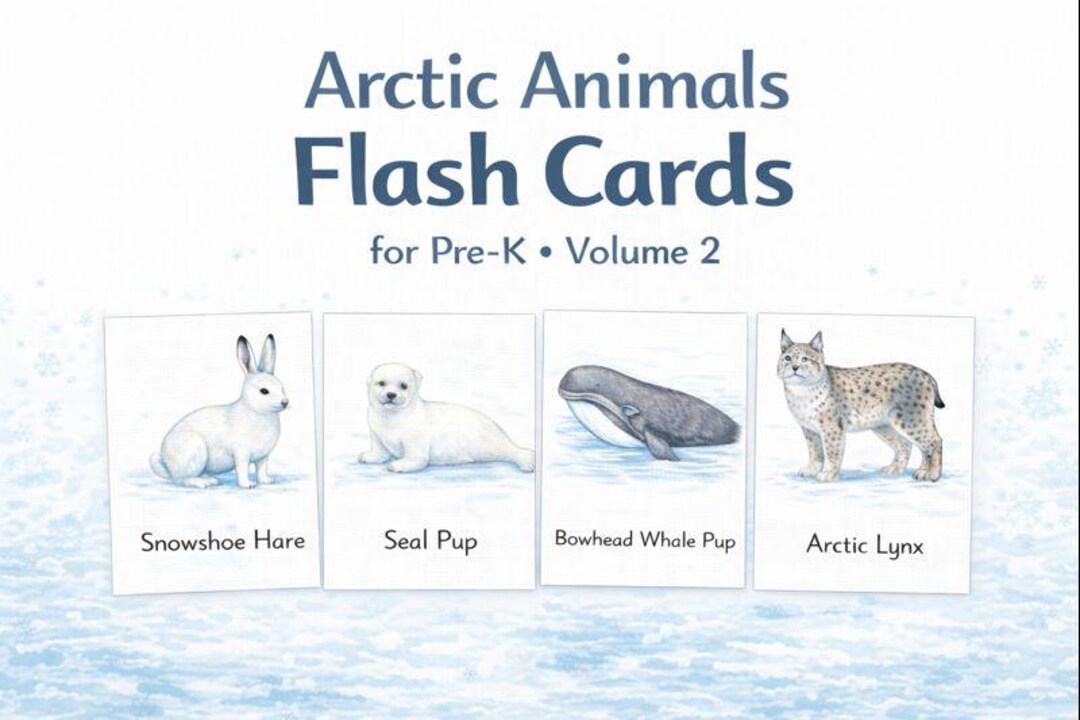 Arctic Animals Flashcards Vol. 2 - Etsy