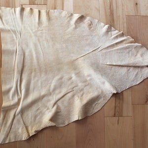 2 X Regular Top Quality Chamois Leather Skin Shammy Approx 2.5 to 3 Sq ...