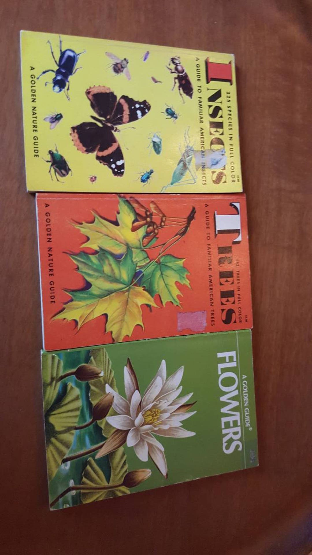 Set of Three Golden Guide Books, Trees, Insects and Flowers - Etsy