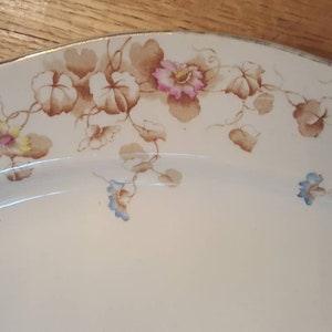 Mellor, Taylor & Co. Semi-porcelain Antique Platter, Superb Pattern - Etsy