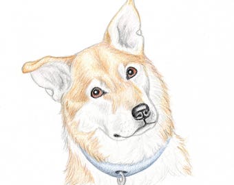 Custom pet drawing | Etsy