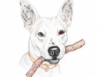 Custom pet drawing | Etsy